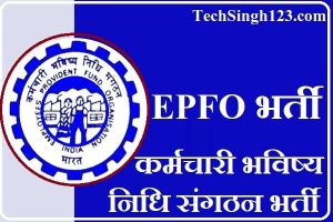 EPFO Delhi Recruitment 2023 3000 ईपीएफओ दिल्ली भर्ती 2023