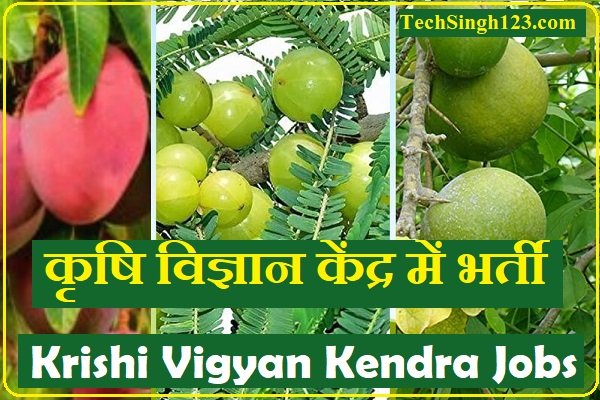 Krishi Vigyan Kendra Recruitment 2024 कृषि विज्ञान केंद्र में भर्ती