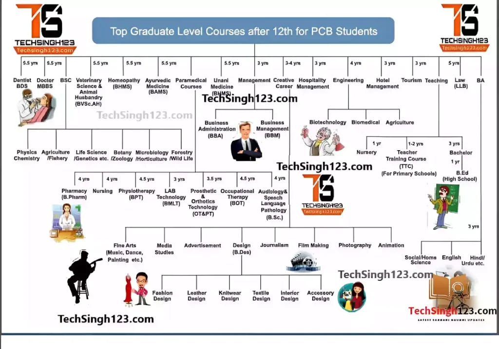 Best Teacher Training Courses After 12th & Graduation in English Best Teacher Training Courses After 12th & Graduation in English
